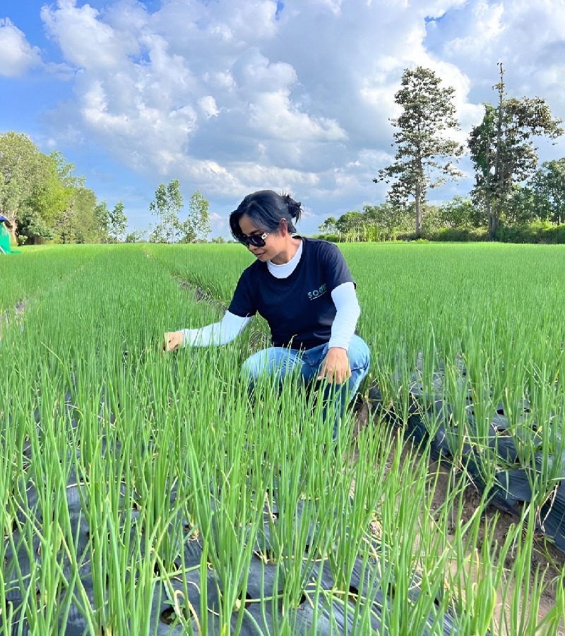 SOGE Cambodia - www.sogecambodia.com